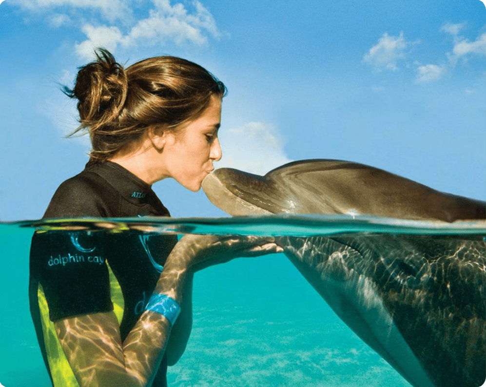 1 – Ocean Tec | Wetsuits and Rashguards Made in the USA